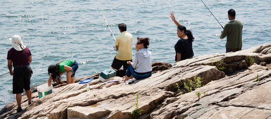 Organize a fishing groups and clubs