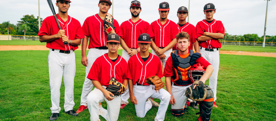 Organize a baseball team and host games